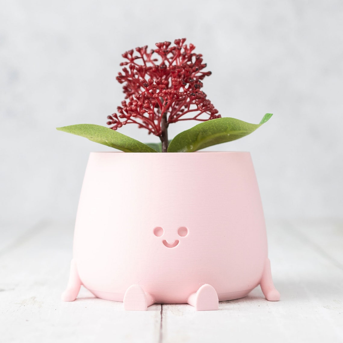 3D Printed Happy Face Planter Eco-friendly Bio-based - Etsy