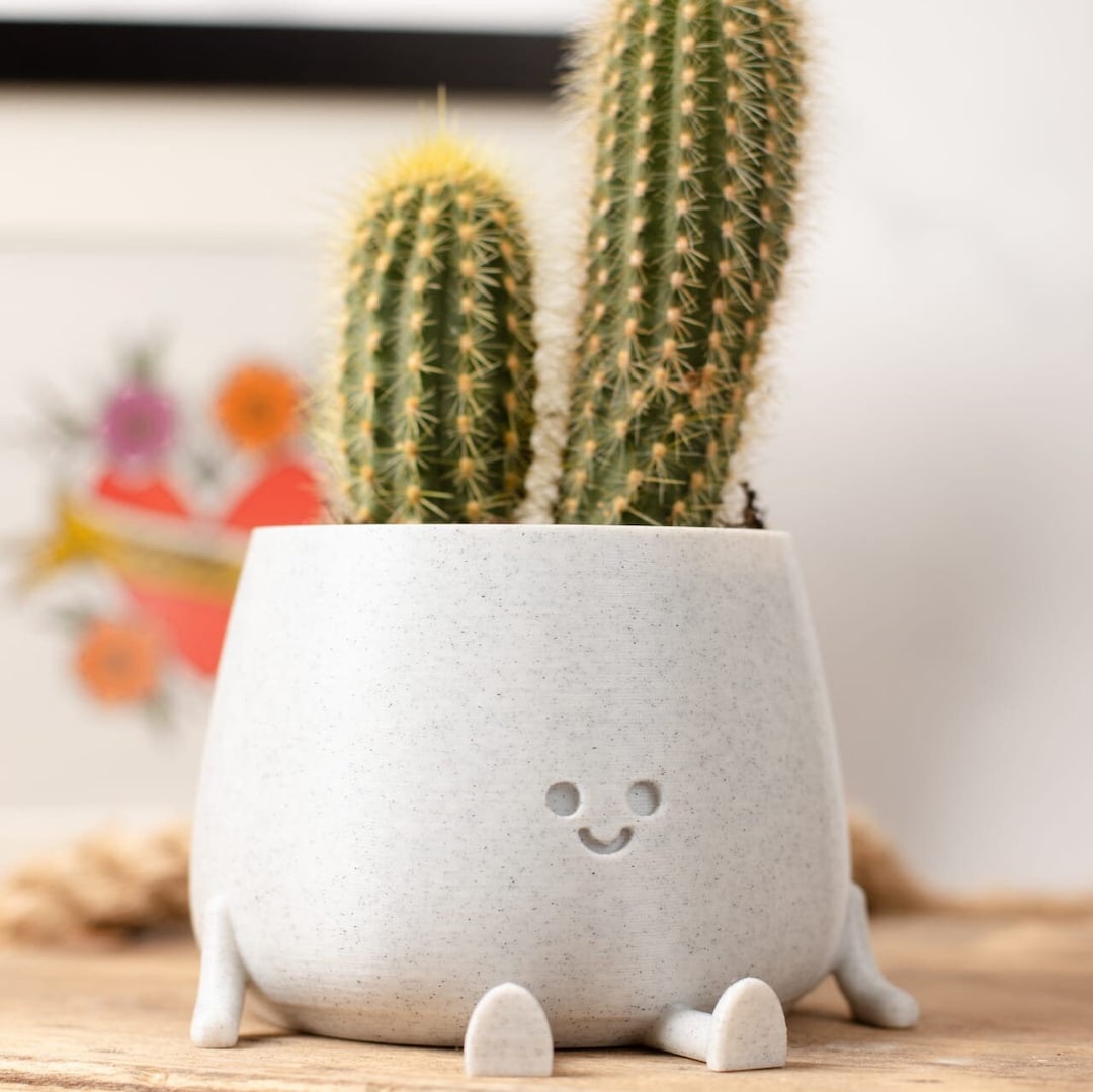 3D Printed Happy Face Planter, Eco-friendly Bio-based Material, Cute ...