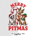 Merry Pitmas Puppies PNG, Cute Pitbull Christmas Dog Lover Png, Festive ...