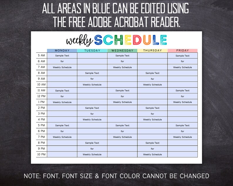 Printable Editable Hourly Weekly Schedule | Weekly School Schedule ...