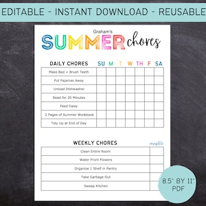 Printable Editable SUMMER Daily & Weekly Kids Chore Responsibility ...