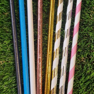 Barbie Birthday Party Straws, Hi Barbie Straws Decorations Paper ...
