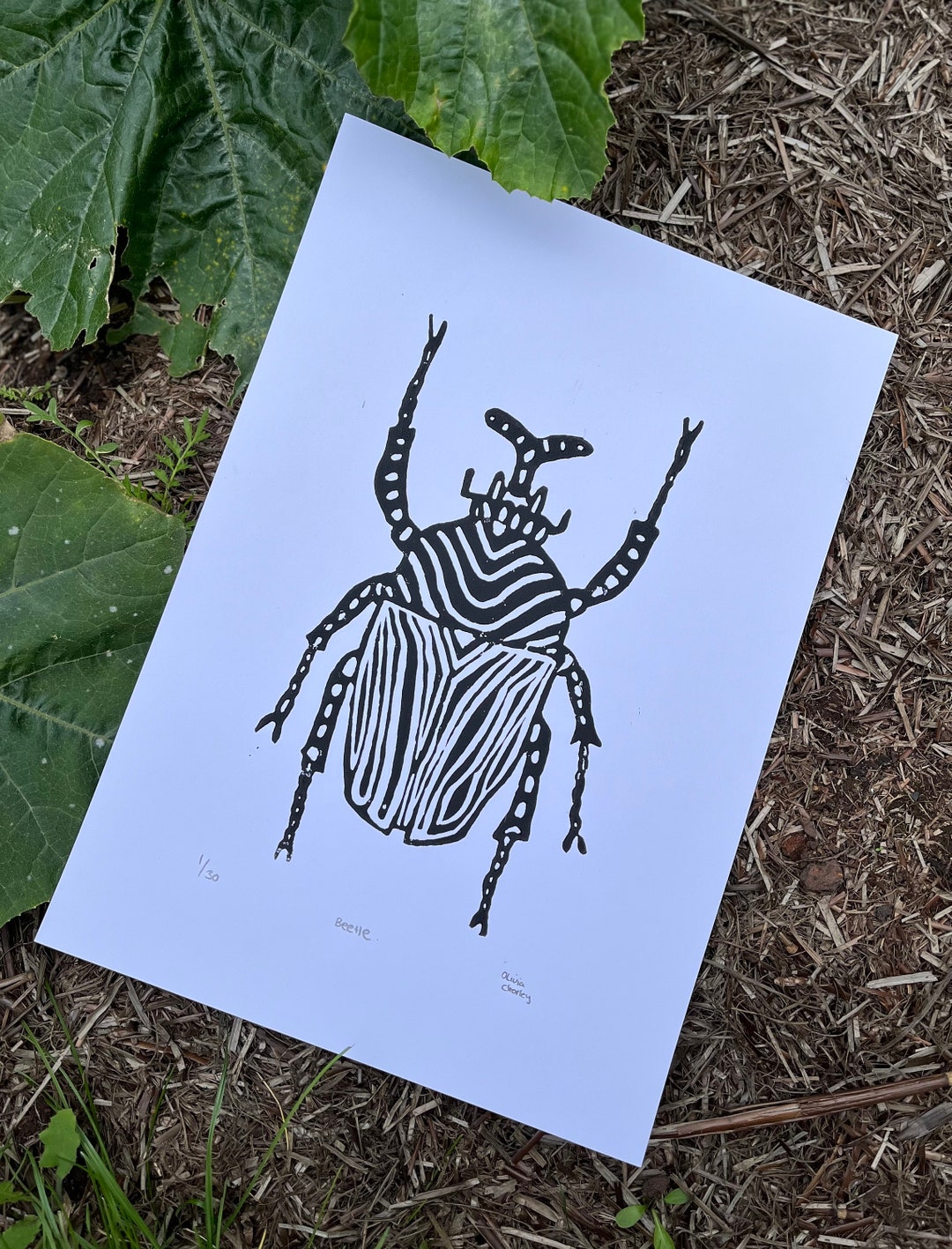 Striped Beetle Linocut Print A4 1 of 30 - Etsy