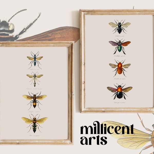 Insect Art - Etsy