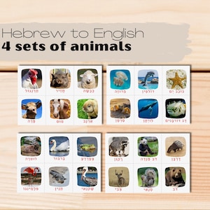 Hebrew-english Matching Animals, Farm Animals, Rivers and Lakes, Woods ...