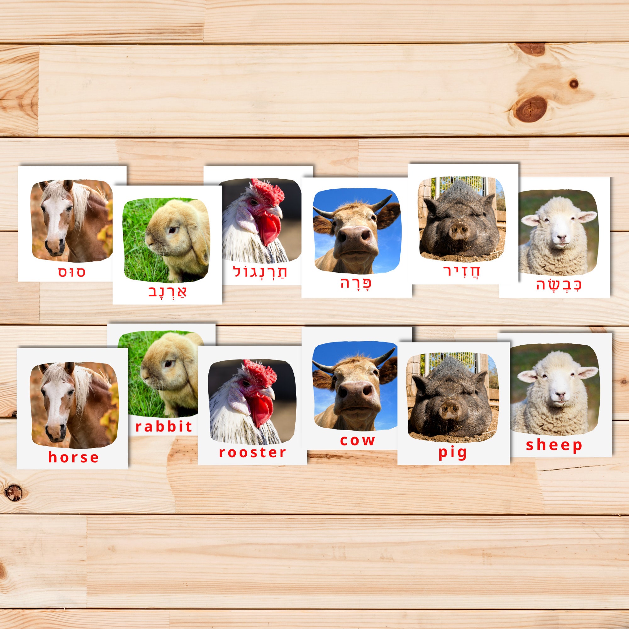 Hebrew-english Matching Animals, Farm Animals, Rivers and Lakes, Woods ...