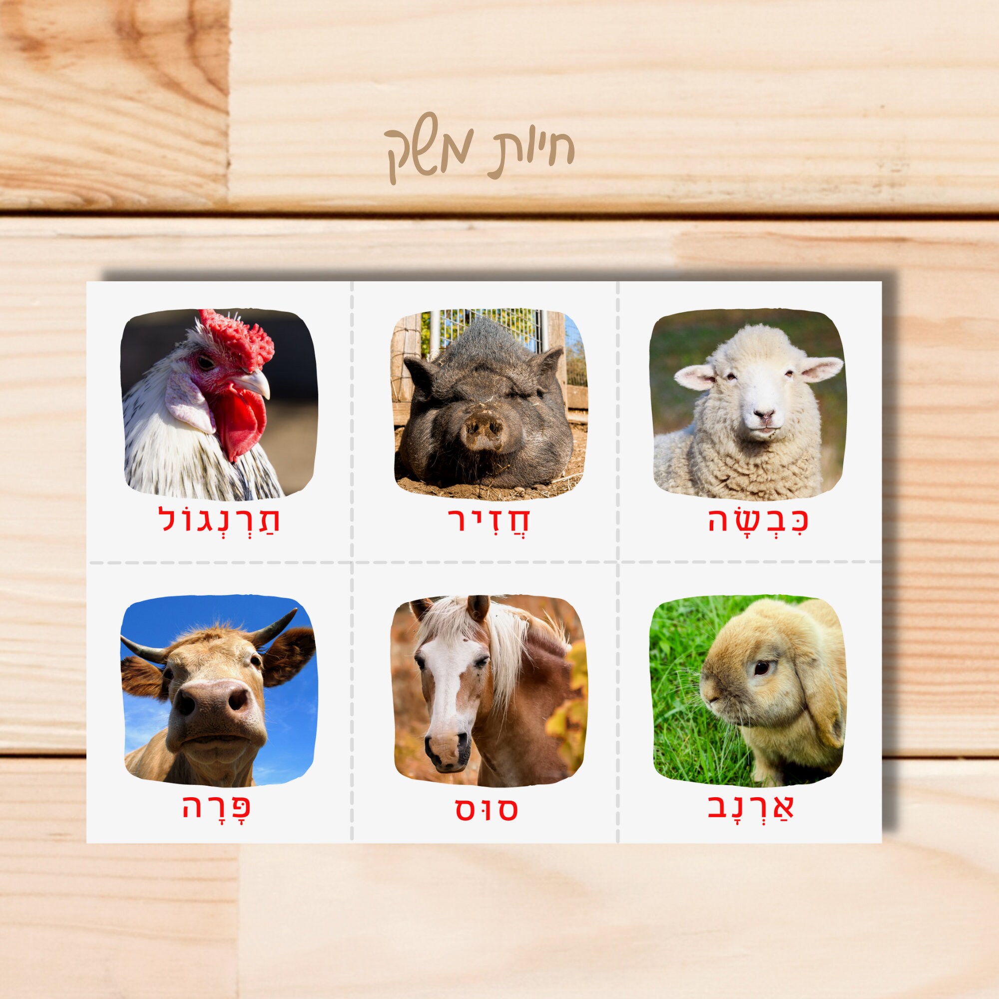 Hebrew-english Matching Animals, Farm Animals, Rivers and Lakes, Woods ...