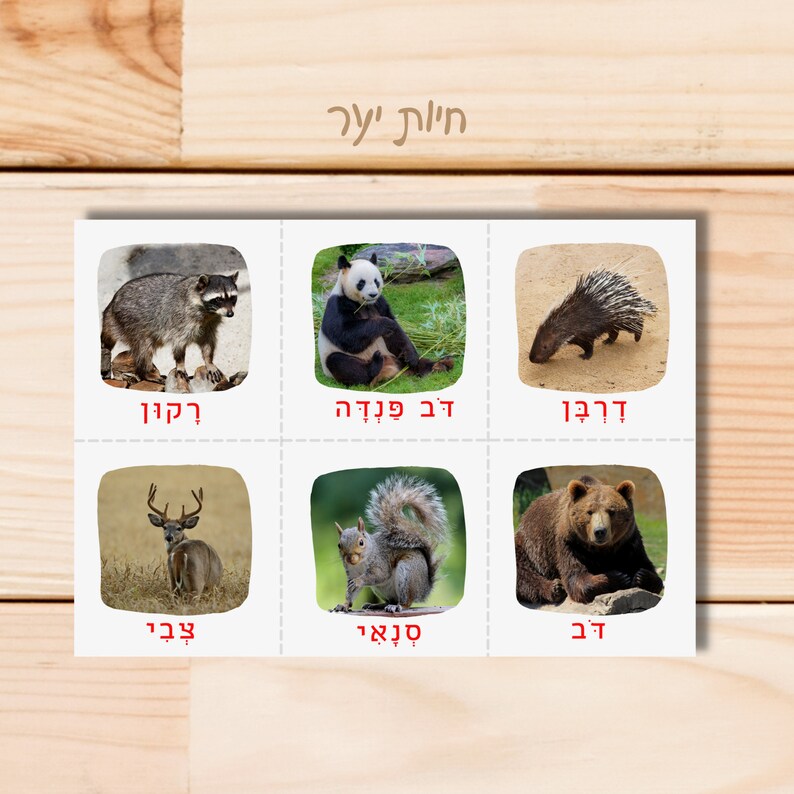 Hebrew-english Matching Animals, Farm Animals, Rivers and Lakes, Woods ...