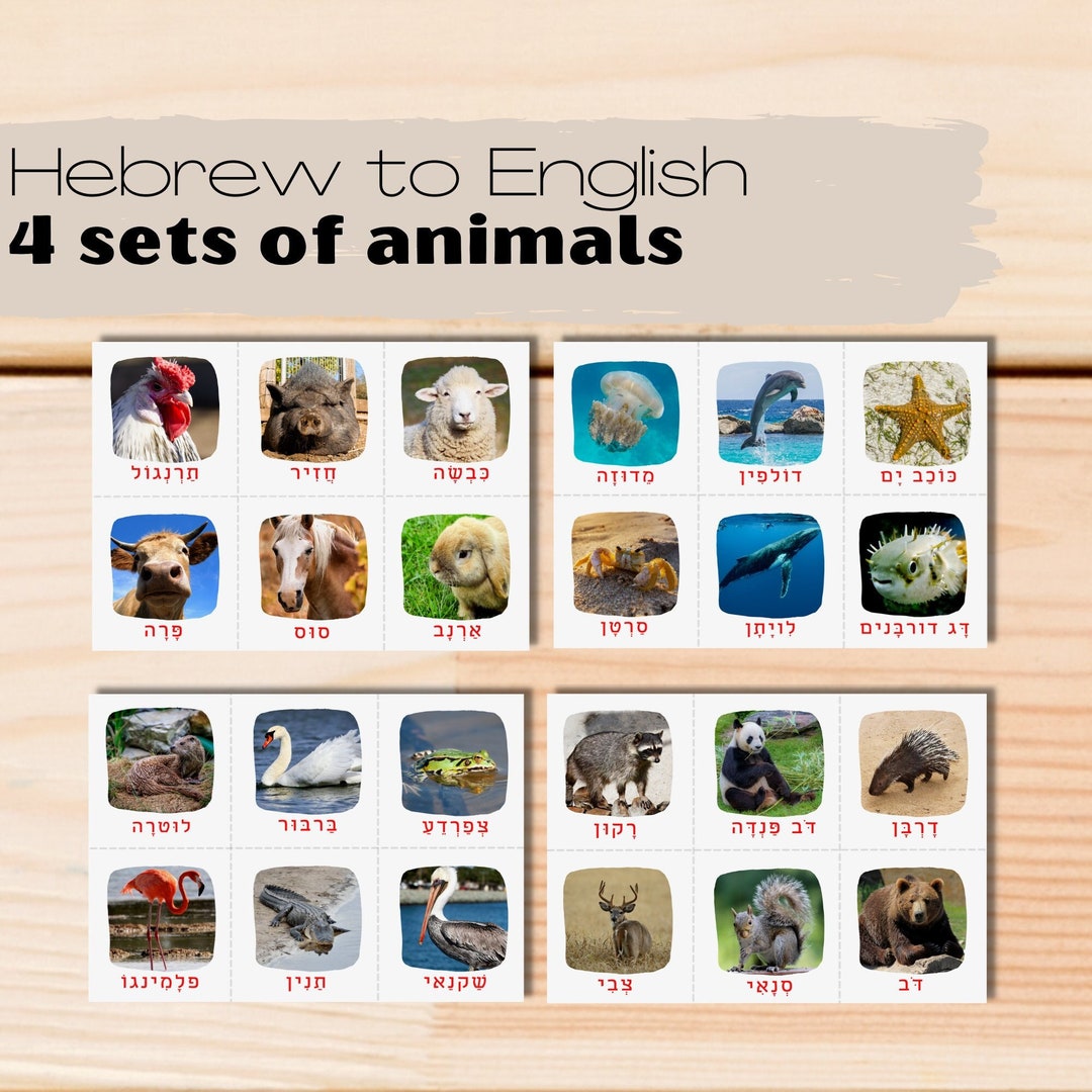Hebrew-english Matching Animals, Farm Animals, Rivers and Lakes, Woods ...