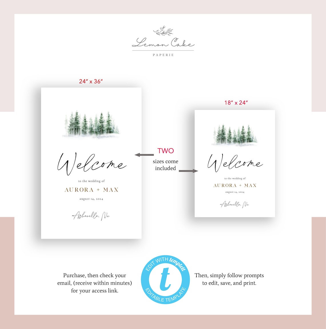 Race Car Welcome Sign, Printable Car Theme Birthday Sign, Large Poster ...