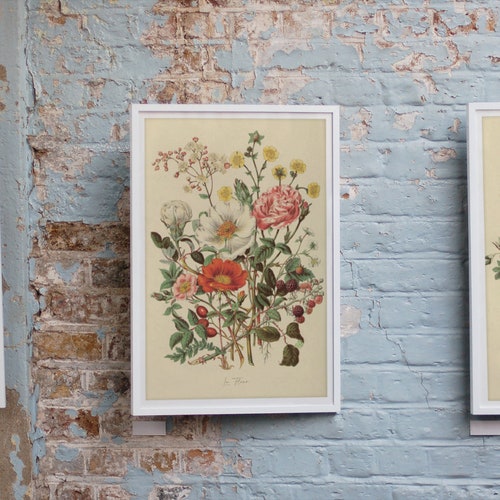 Set of 3 Vintage Flower Prints Instant Download Wall Art - Etsy