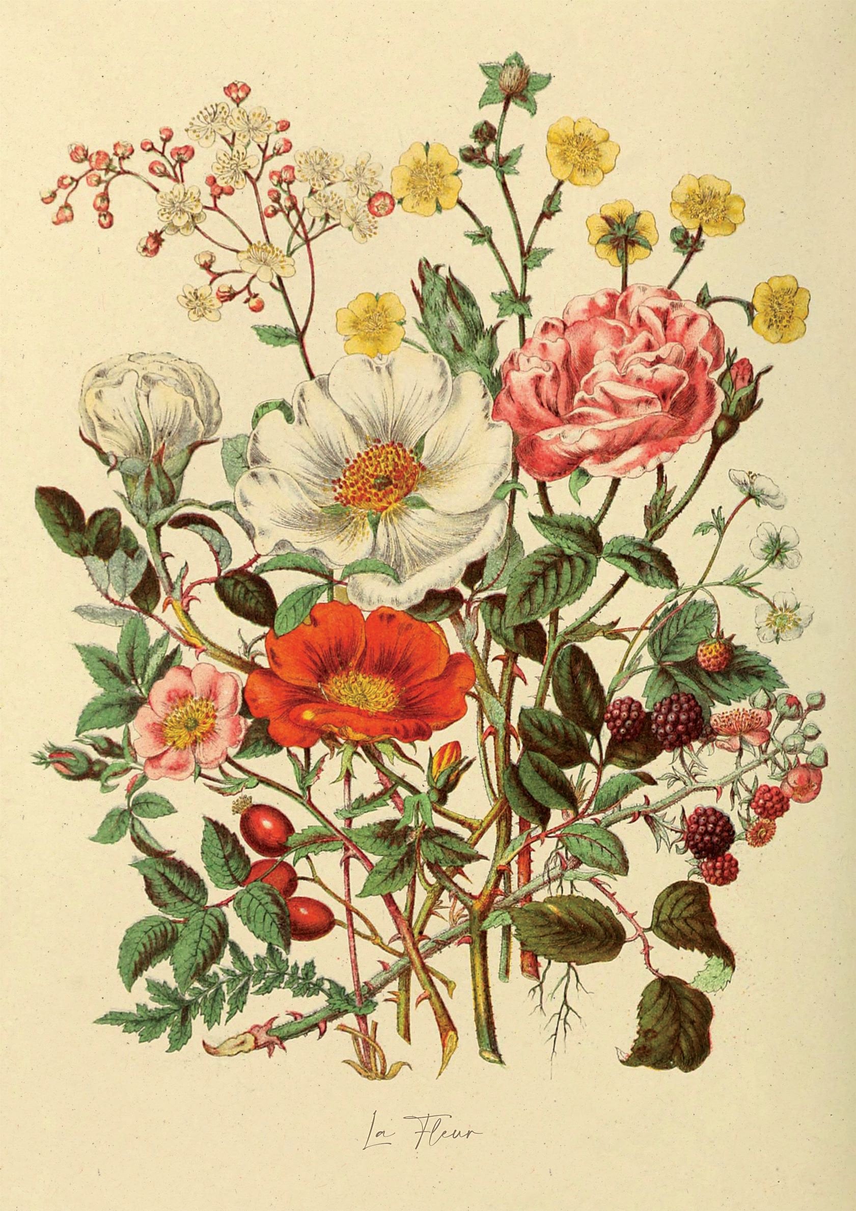 Set of 3 Vintage Flower Prints- Instant Download- Wall Art- Wall- Decor ...