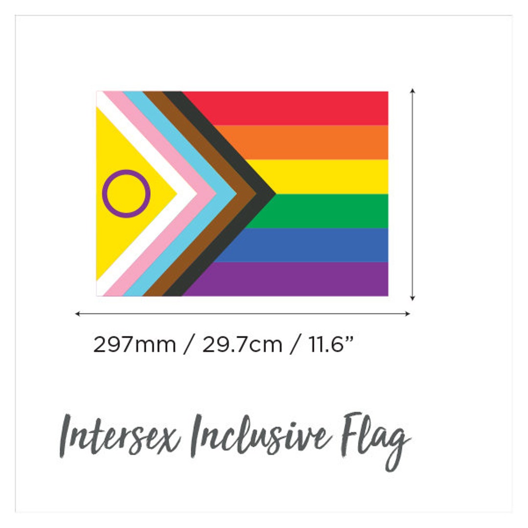 Pride Intersex Inclusive Flag Window Vinyl Self Cling Removable Rainbow ...
