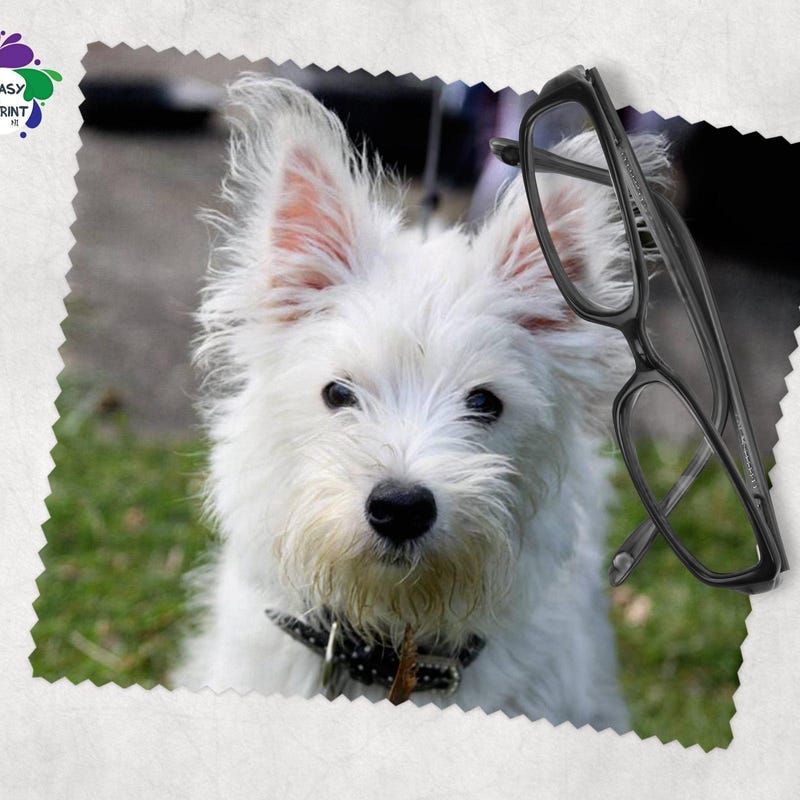 Glasses Cute Cloth - Etsy UK