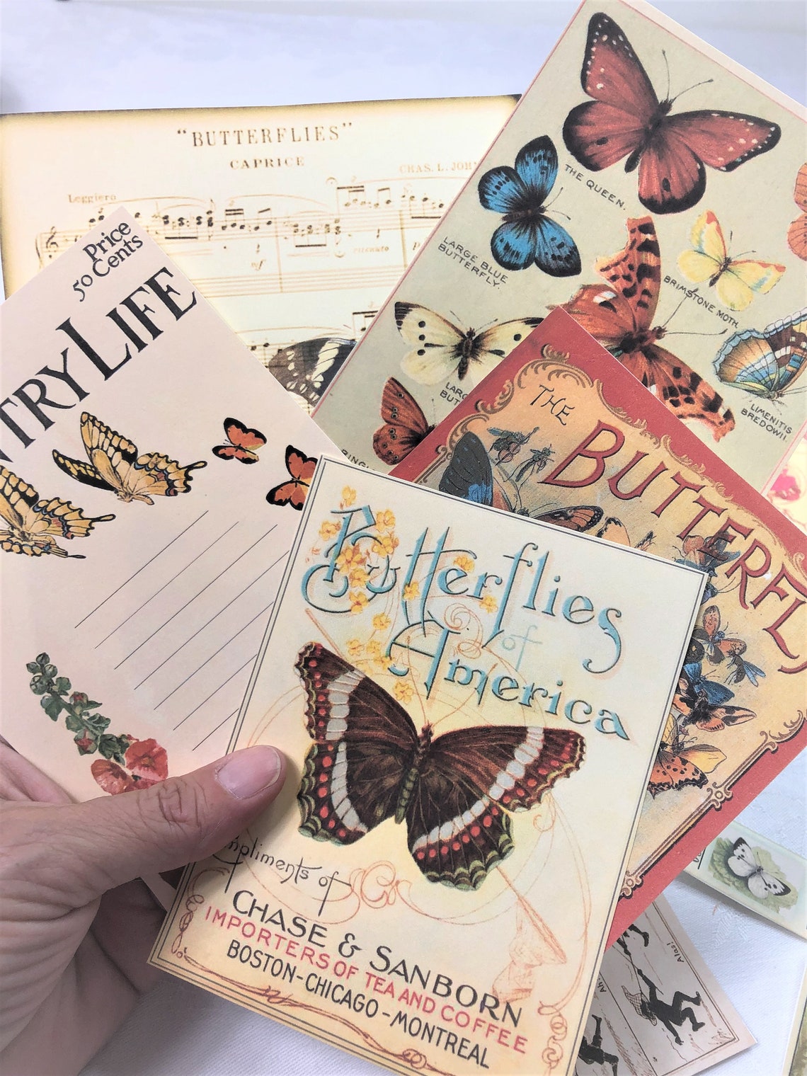 Vintage Butterfly Ephemera Printable Junk Journal Digital Download 5 ...