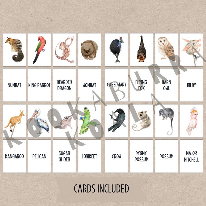 Australian Animal Sight Word Flash Cards: Educational Wildlife (digital ...
