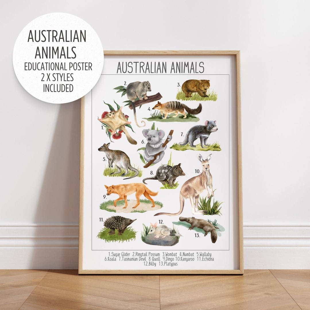 Australian Wildlife Educational Poster - Etsy