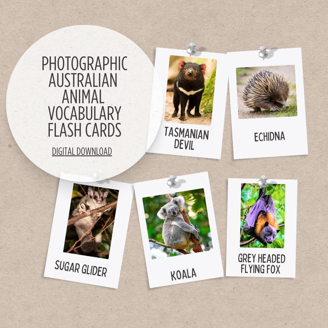 Australian Animal Flash Cards: Wildlife Vocabulary (digital Download ...