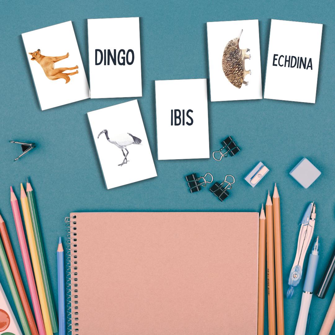 Australian Animal Sight Word Flash Cards: Educational Wildlife (digital ...