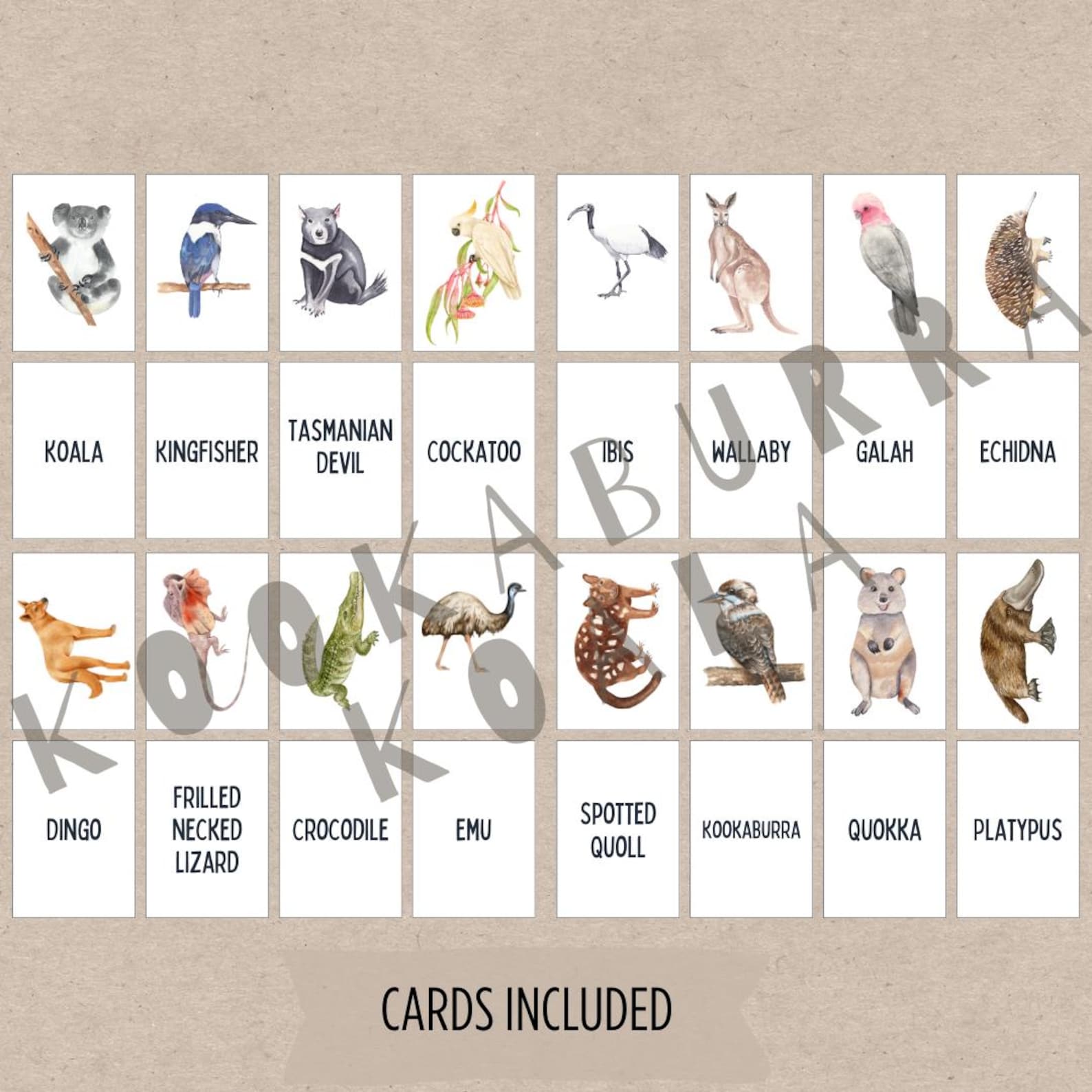 Australian Animal Sight Word Flash Cards: Educational Wildlife (digital ...