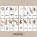 Australian Animal Sight Word Flash Cards: Educational Wildlife (digital ...