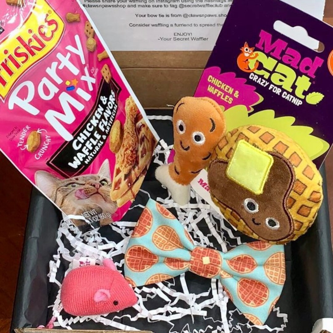 Waffle Gift Box for Cat, Waffle Bandana or Bow Tie Gift Box, Bundle ...