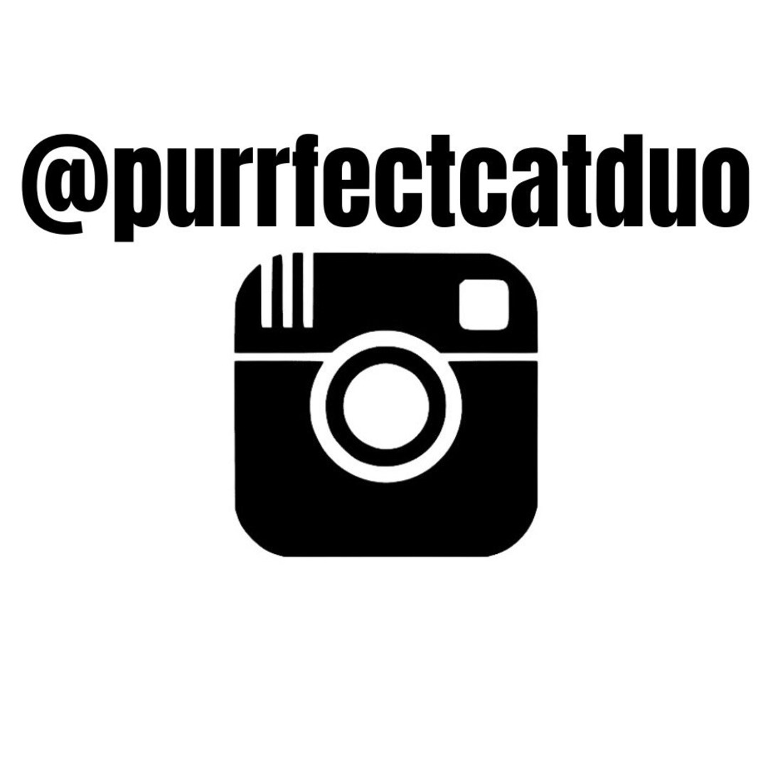 Add on Instagram Handle With Instagram Camera to Any Pet Bandana, You ...
