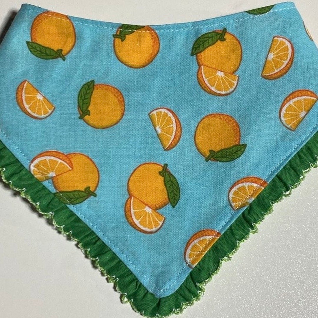 Orange on Teal Pet With Trim Bandana, Orange Neckwear, Fruit Orange ...