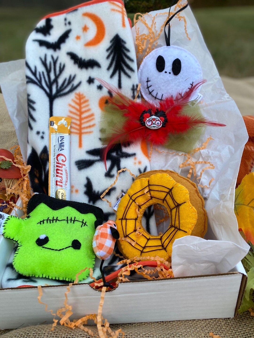 Spooky Cat Bundle Box With Catnip Toys Bkanket and Accessories, Donut ...
