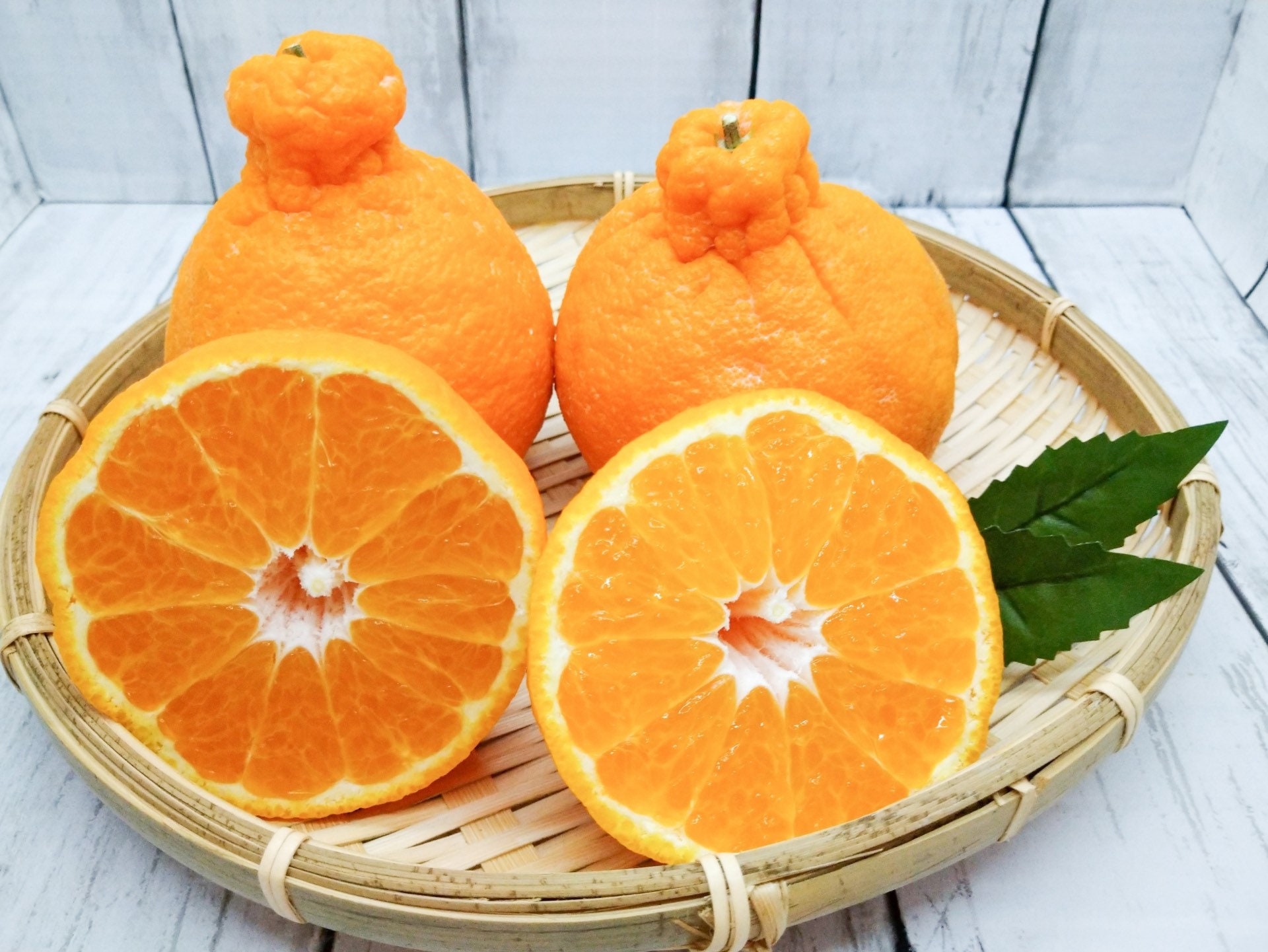 3gal SUMO/ DEKOPON/ SHIRANUI Japanese Sweet Seedless Mandarin. - Etsy ...