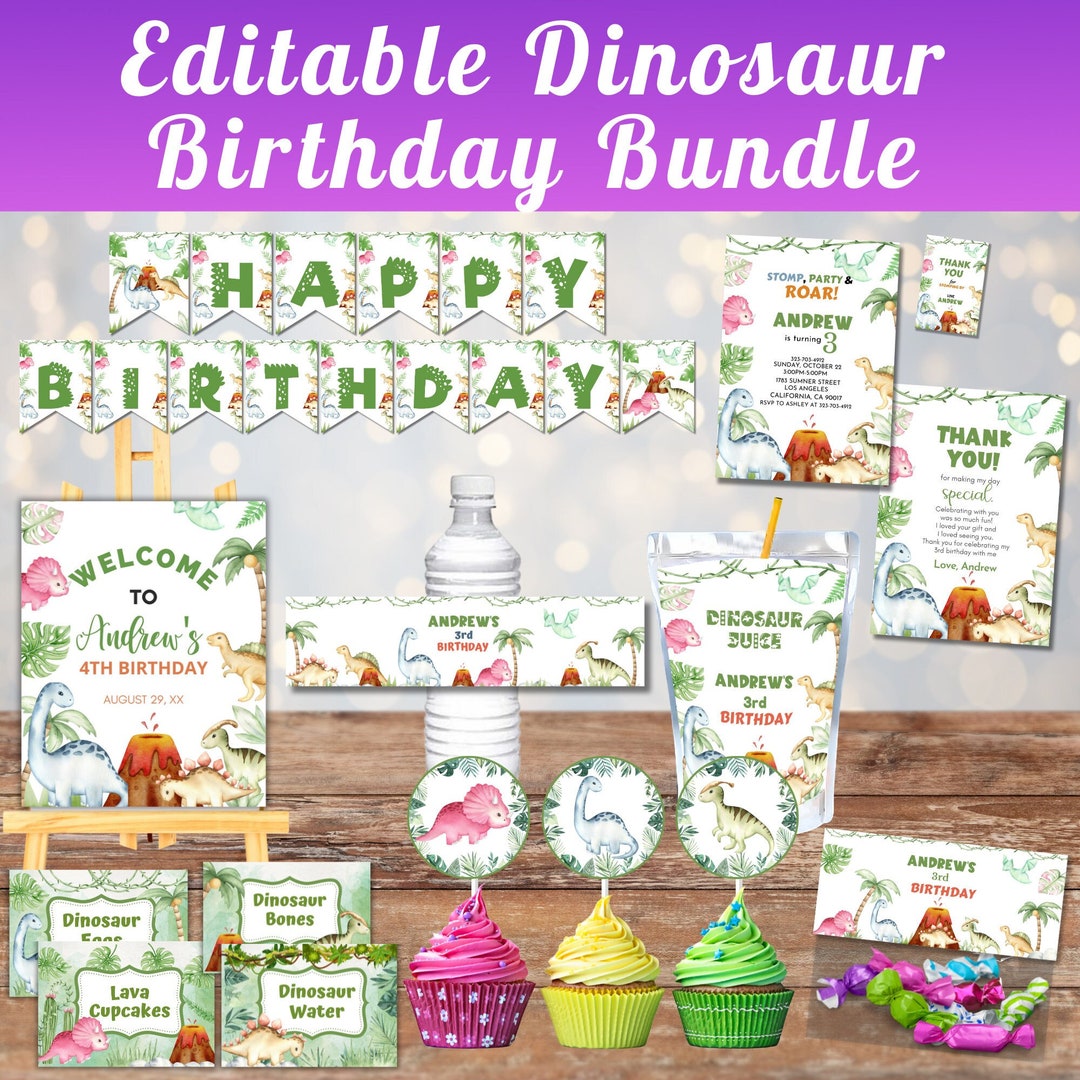 Editable Dinosaur Birthday Bundle Dinosaur Birthday Party Dinosaur 1st ...