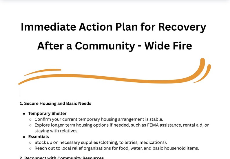 Immediate Action Plan for Recovery After a Community - Wild Fire - Etsy