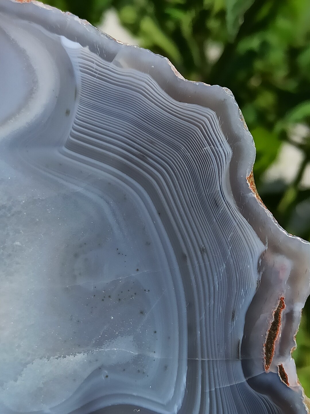 Blue Line Banded and Quartz Crystal Agate, Fortification Banded, Cut ...