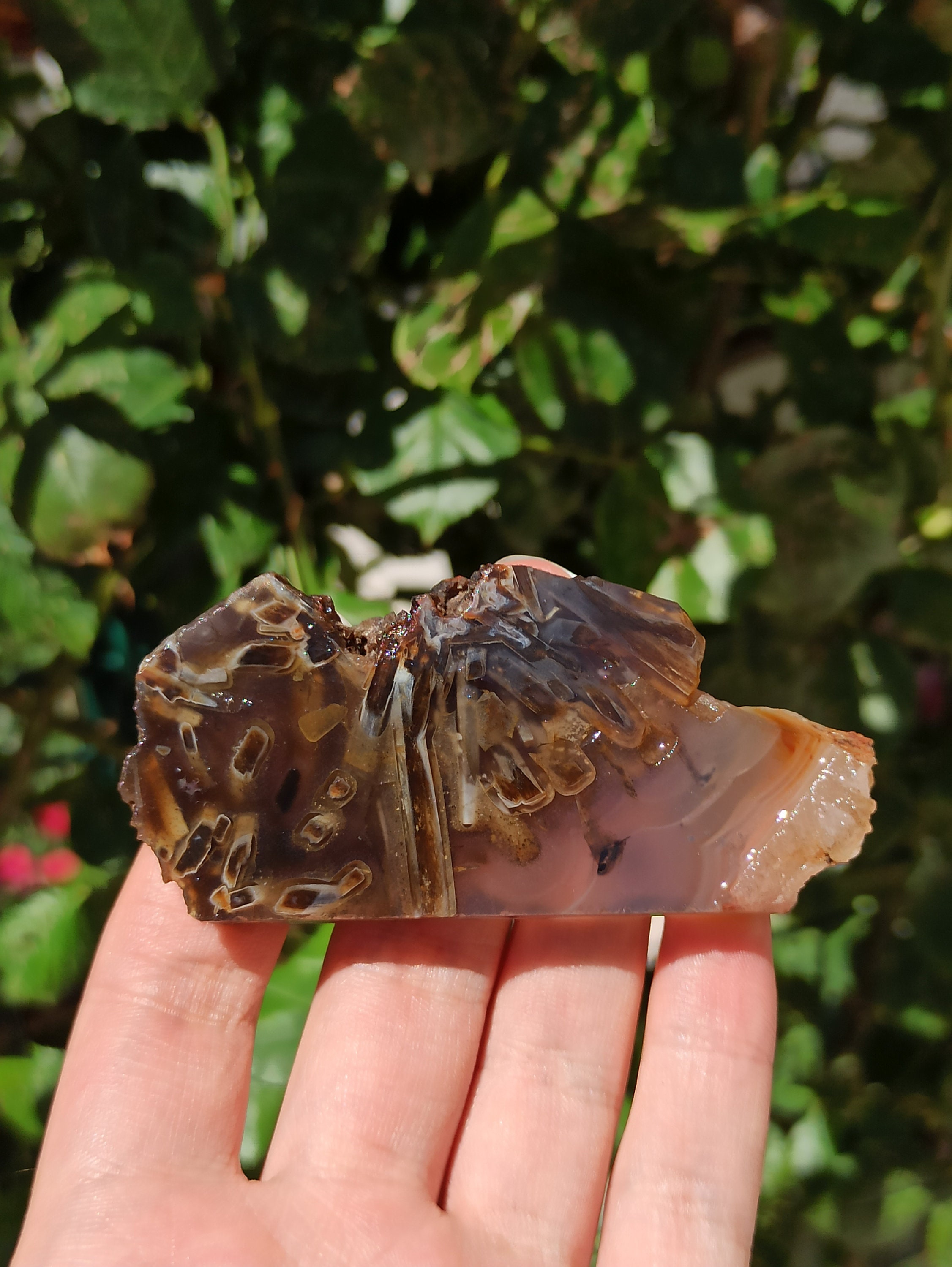 Stick and Banded Agate Slabs Agate Slabs for Lapidary - Etsy