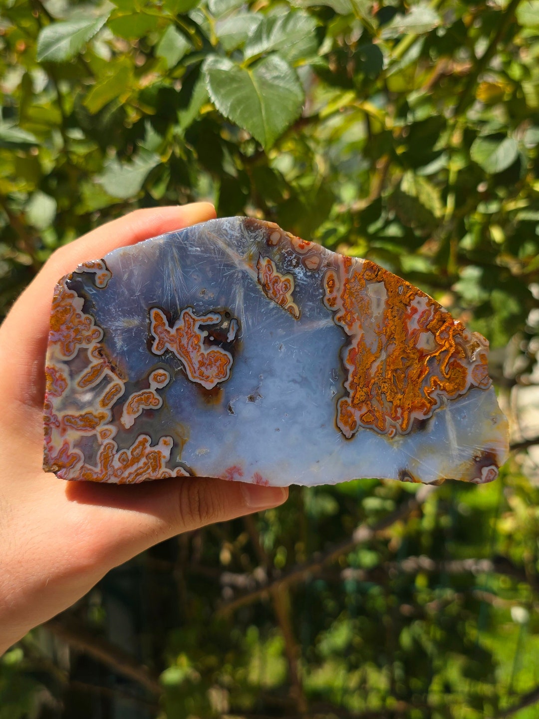 Blue Banded and Orange Moss Agate, Turkish Agate, Red Plume Agate ...