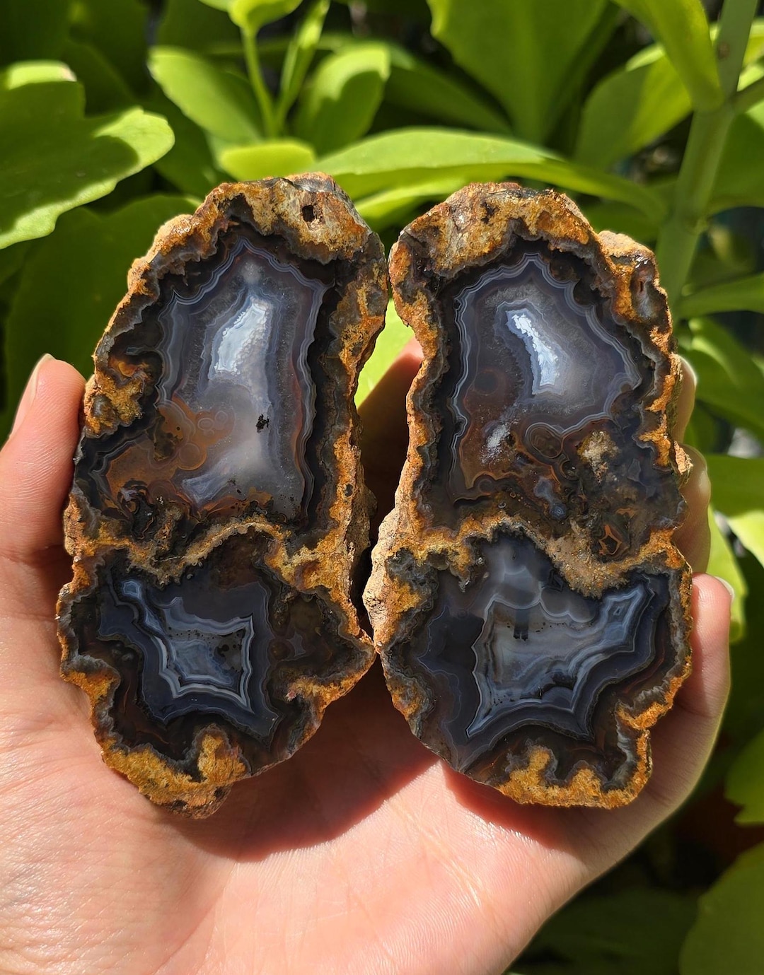 Blue Banded and Crystal Banded Agate, Quartz Agate, Cut and Polished ...