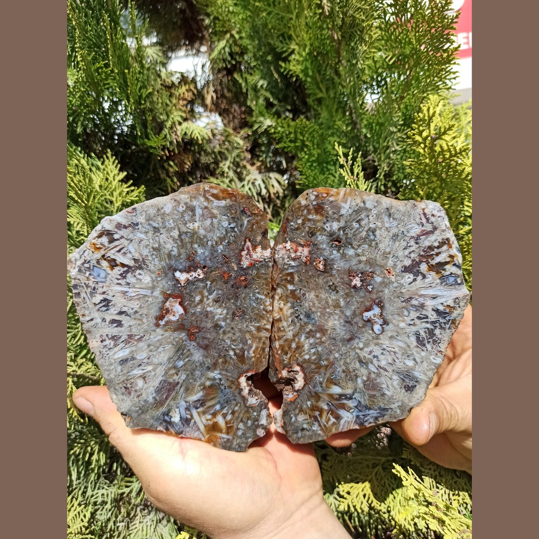 Large Gray Patterns and Sagenite Stick Agate, Cut and Polished Turkish ...