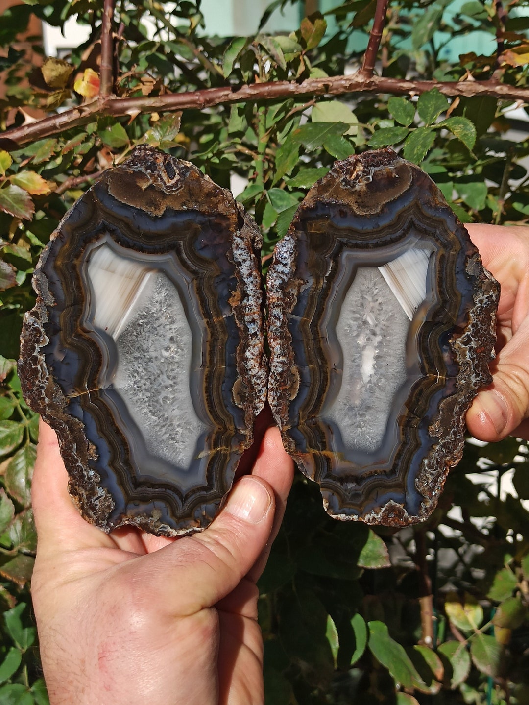 Large Blue and White Banded Agate, Crystal Banded Agate, Cut and ...