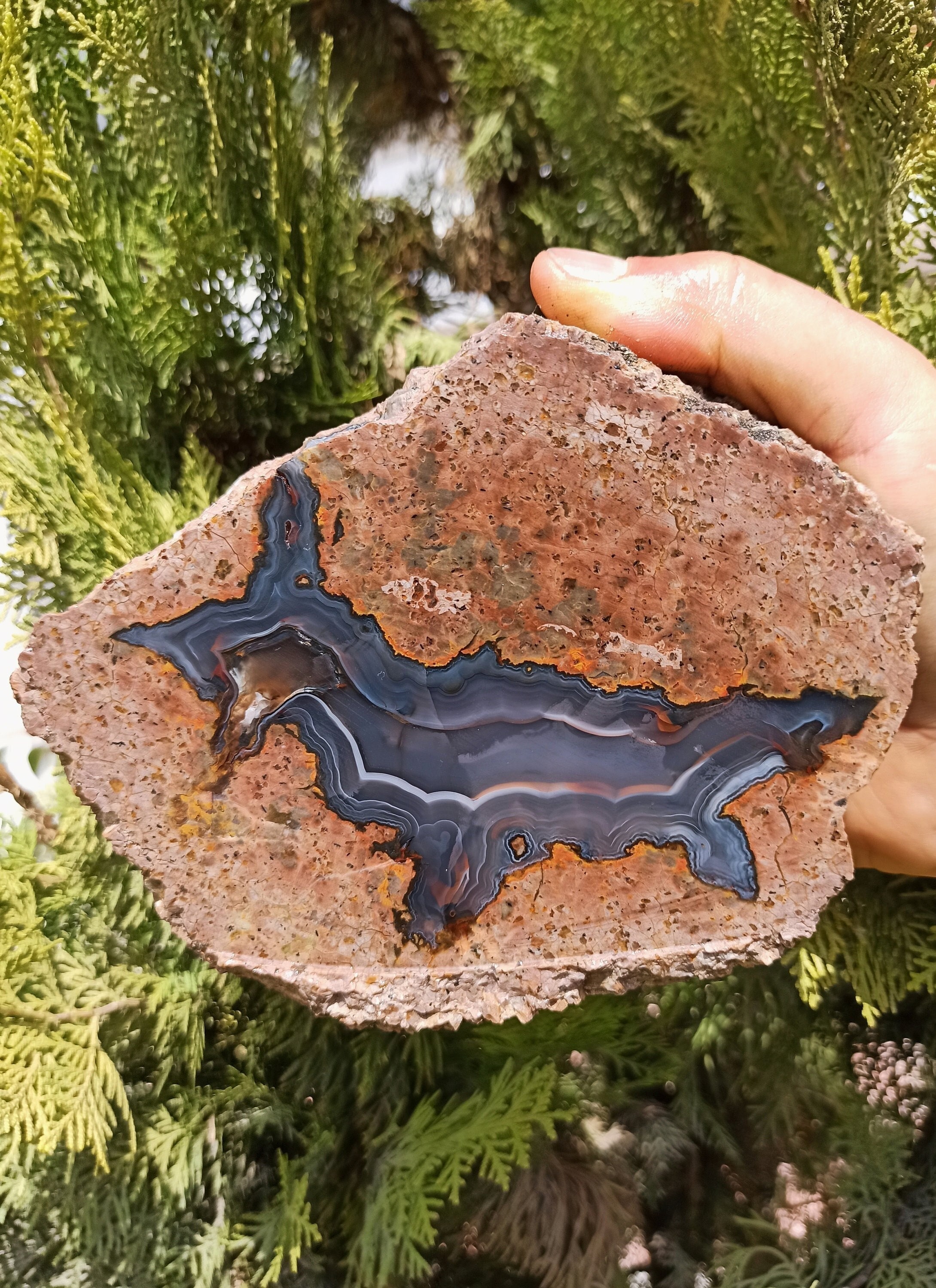 XL Animal Figured Thunderegg Agate, Thunderegg Achat, Blue Turkish ...