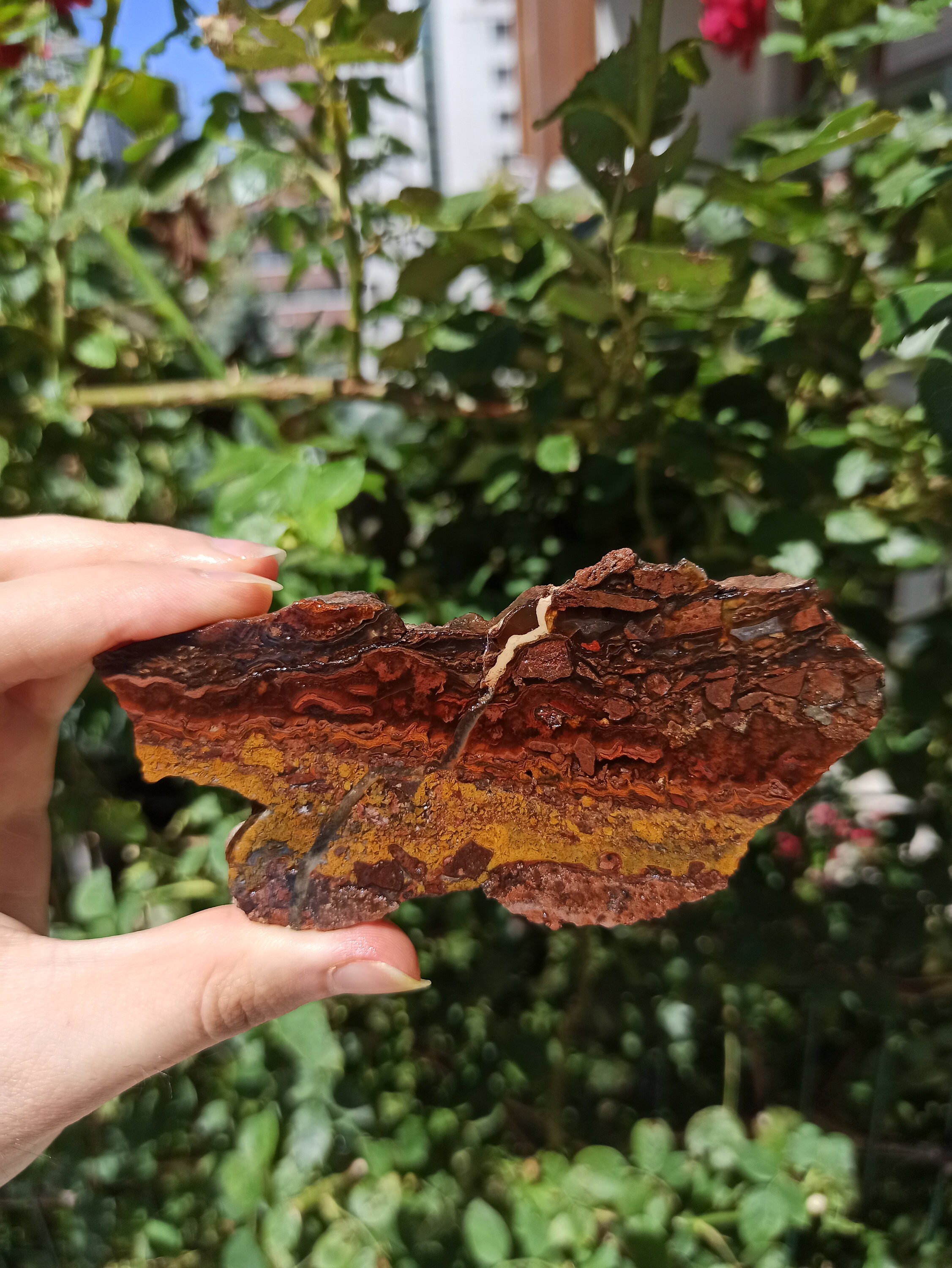 Plume Jasper Agate Slabs Agate Slabs for Lapidary - Etsy