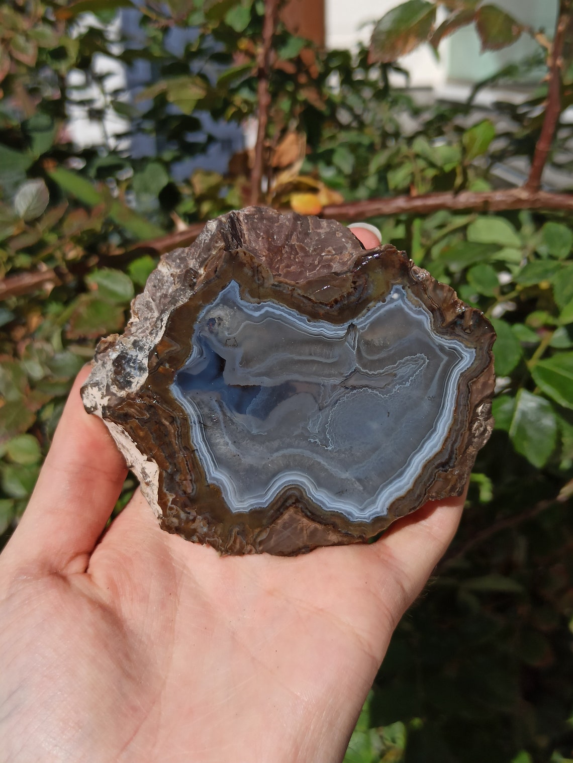 Blue and Green Banded Thunderegg Agate, Crystal Thunderegg Achat ...