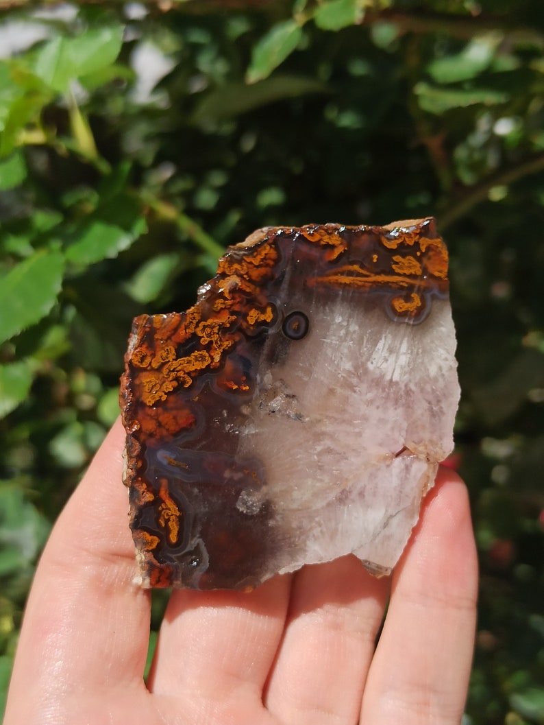 Orange Moss Agate Slabs Agate Slabs for Lapidary - Etsy