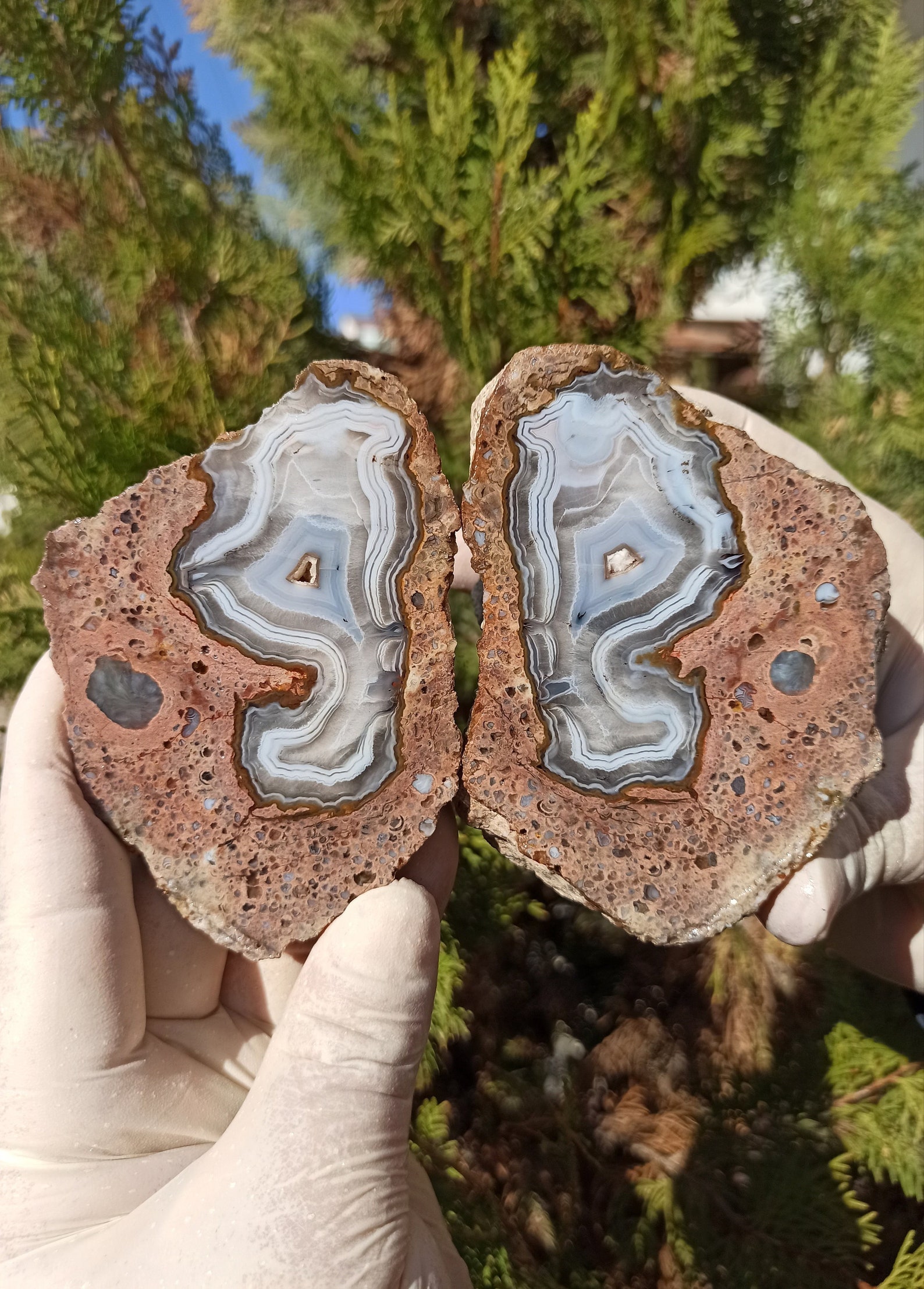 White Thunderegg Agate, Thunderegg Achat, Turkish Thunderegg Agate Pair ...