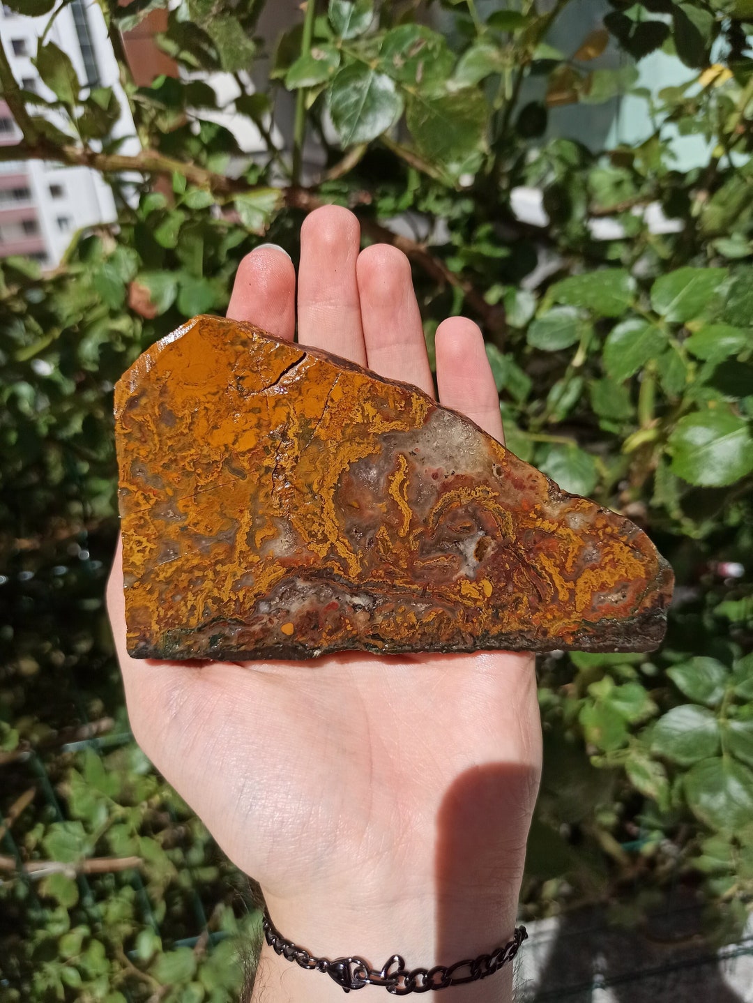 Yellow Moss and Orange Plume Agate Slab, Agate Slabs for Lapidary ...