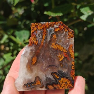 Orange Moss Agate Slabs, Agate Slabs for Lapidary, Metaphysical ...