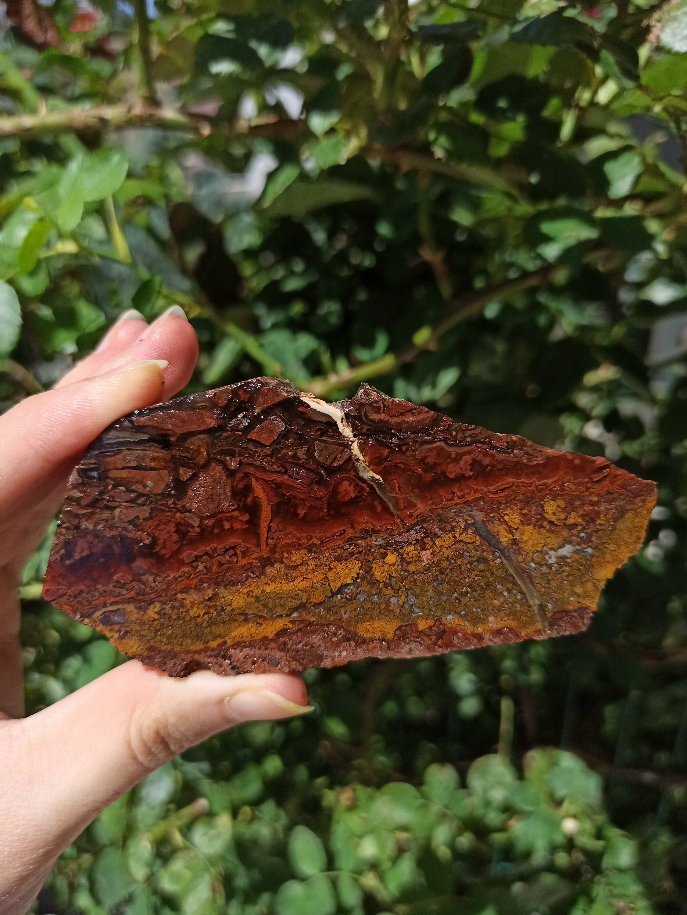 Plume Jasper Agate Slabs Agate Slabs for Lapidary - Etsy