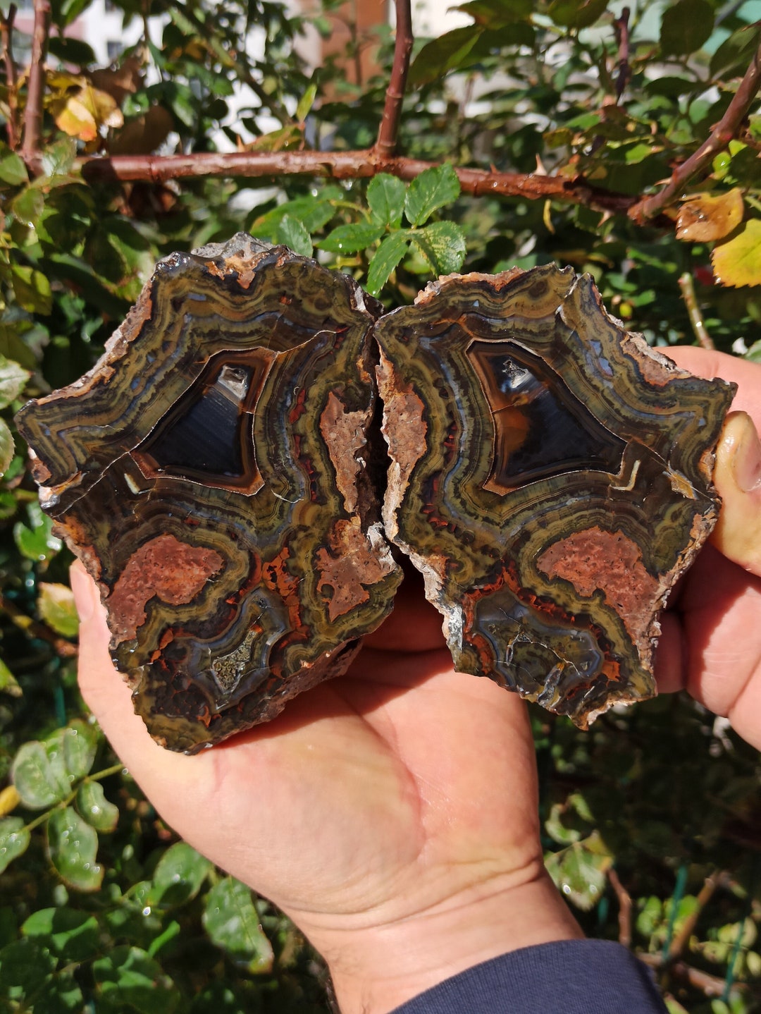 Green and Red Thunderegg Agate, Thunderegg Achat, Turkish Thunderegg ...