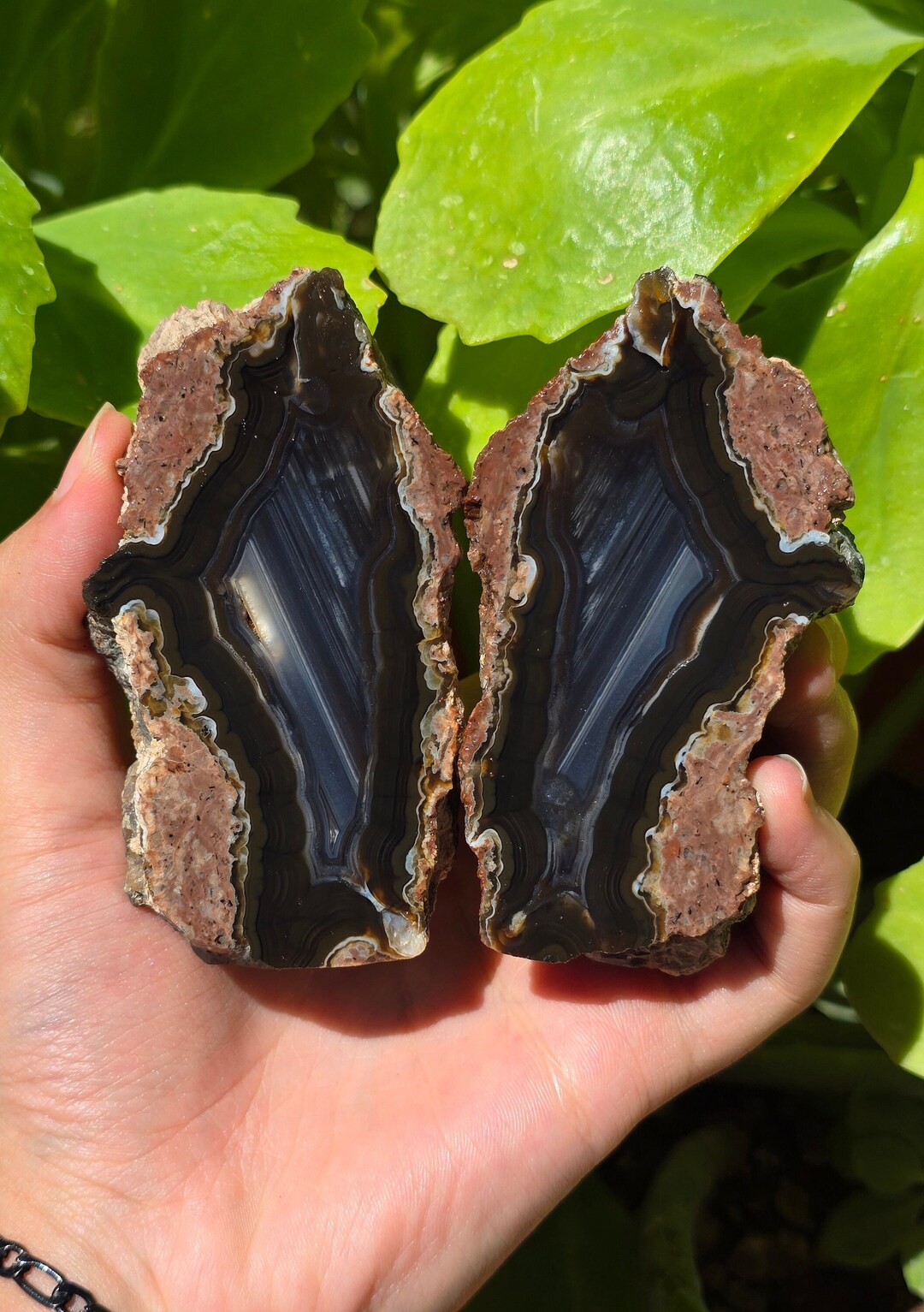 Blue and White Waterline Banded Thunderegg Agate Pair, Thunderegg Achat ...