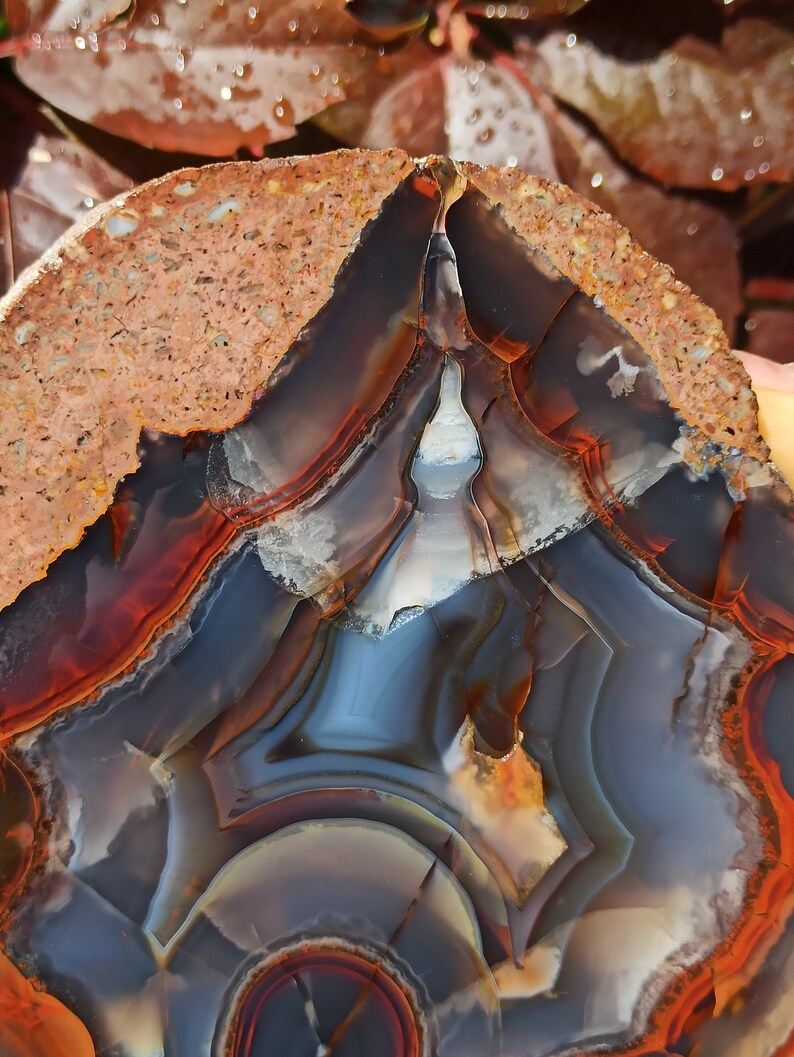 XL Unique Red and Blue Thunderegg Agate Thunderegg Achat - Etsy