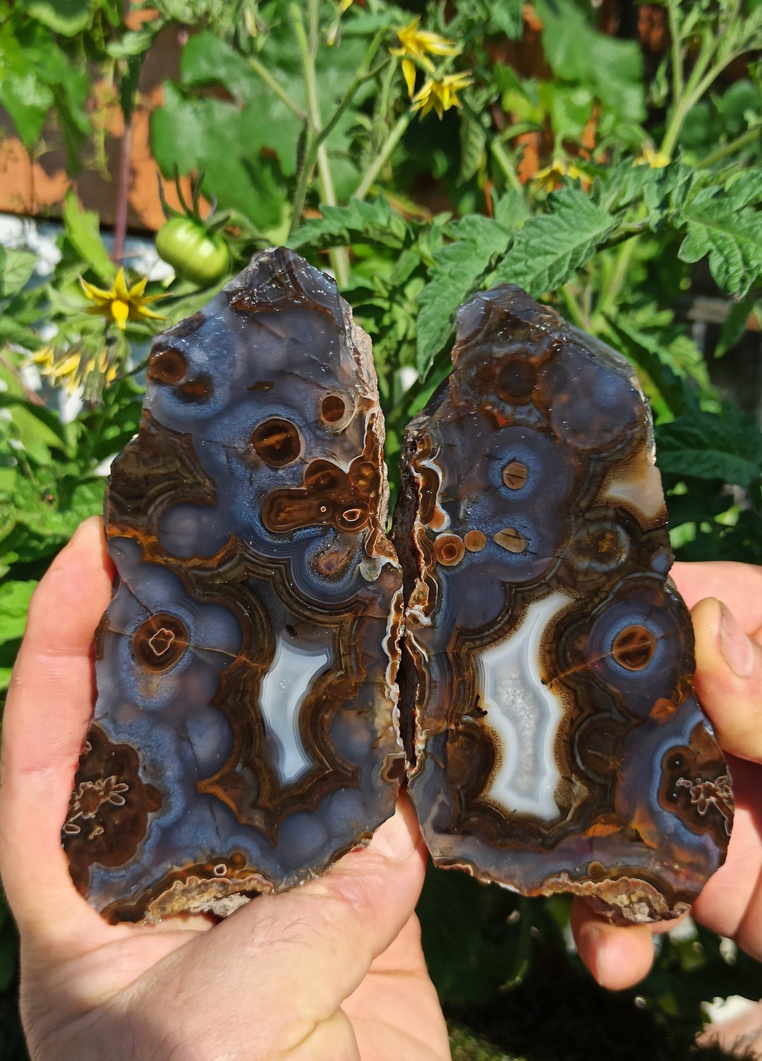 Bubble Patterns Agate, Green Banded and Blue Agate, Cut and Polished ...